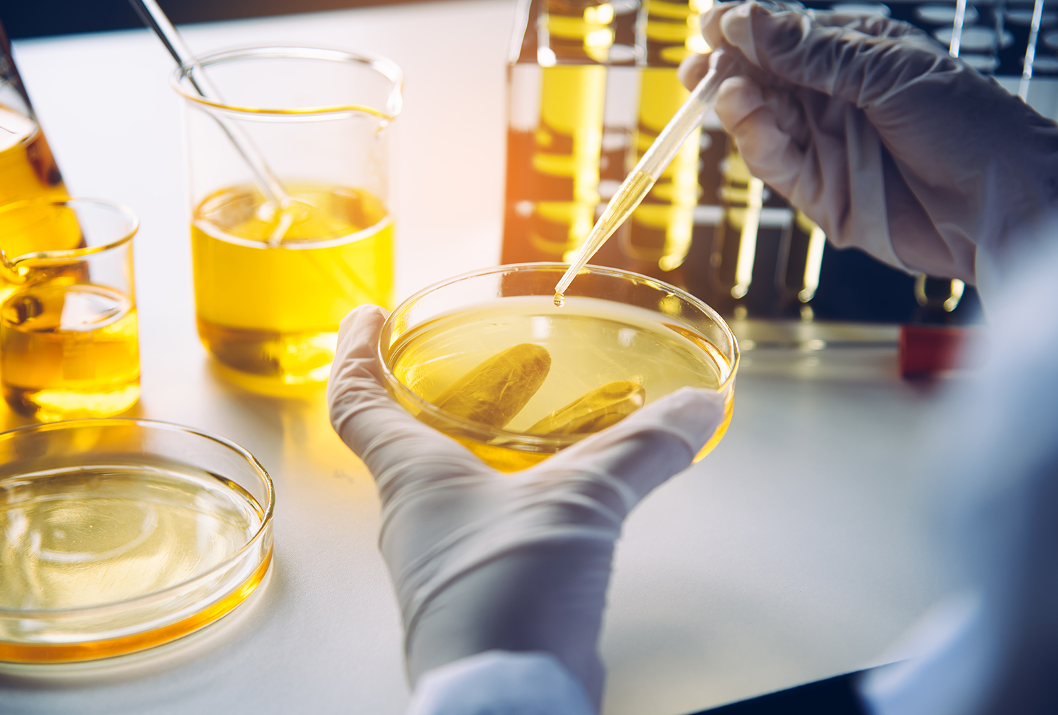 Epsilon Petrochem ~ Manufacturer & Supplier of Engine Oil, Greases ...